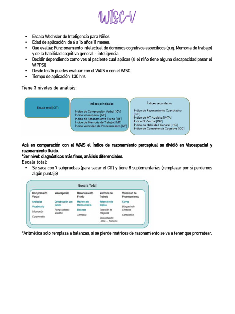 Clase 5 - WISC V | PDF