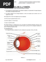 Triptico de La Vista | PDF | Ojo humano | Percepción visual