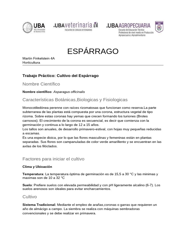 Horticultura Esparrago Martín Finkelstien | PDF