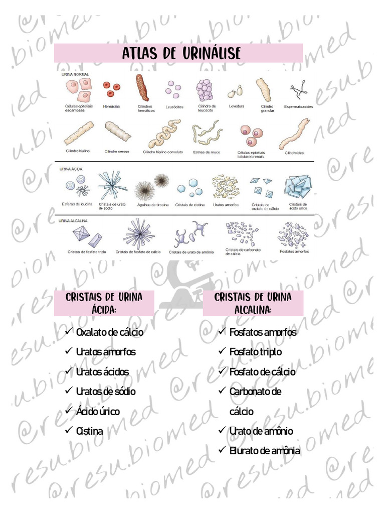 Atlas de Urinálise - Resumo | PDF