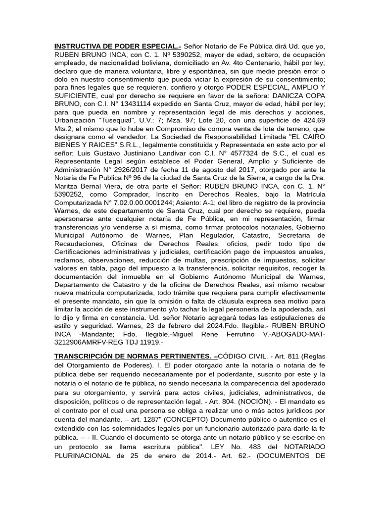 Instructiva de Poder Especial Ruben Bruno | PDF