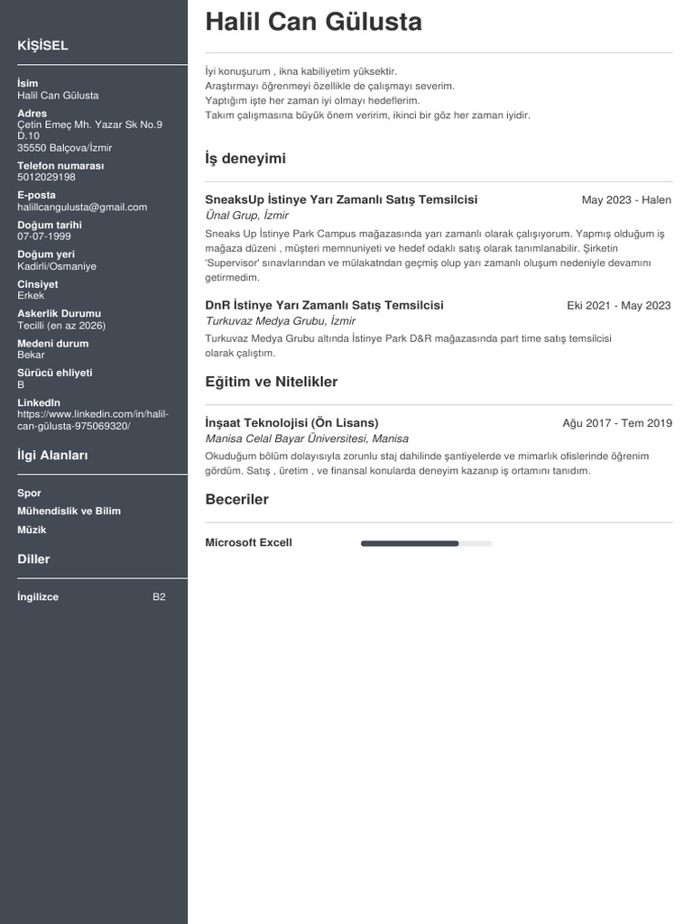 CV Halil Can Gülusta #2 | PDF