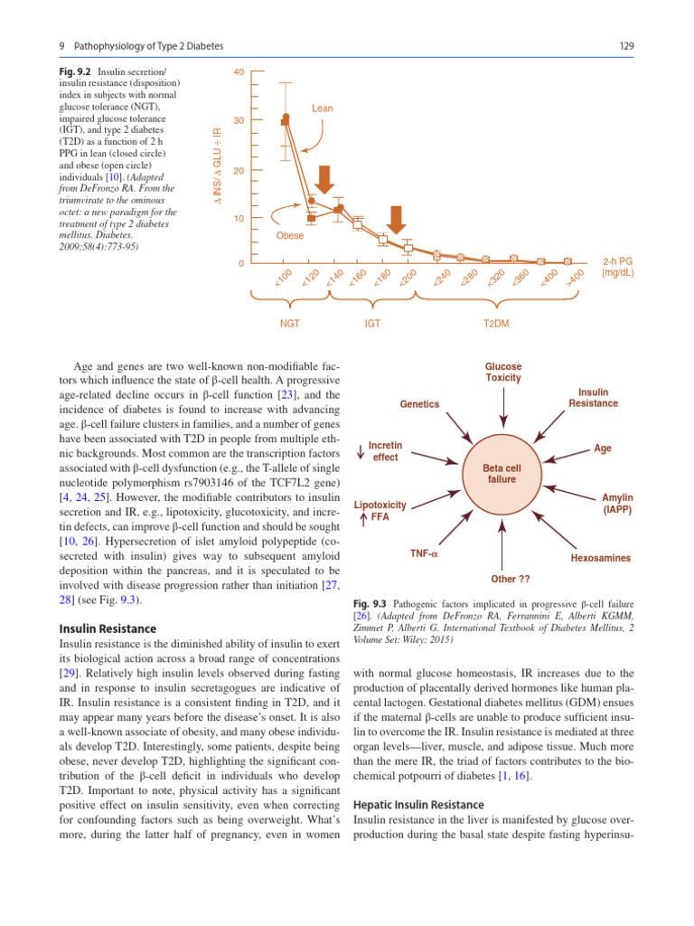 Extracted Pages From 978-3-031-25519-9 | PDF | Insulin Resistance ...