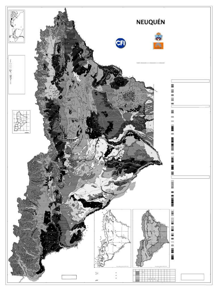 6451 Mapa Suelos Neuquen - Gris | PDF