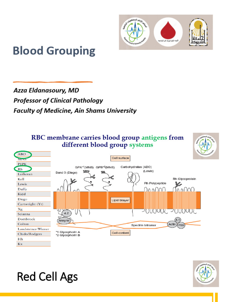 ASSIUT Blood Grouping | PDF
