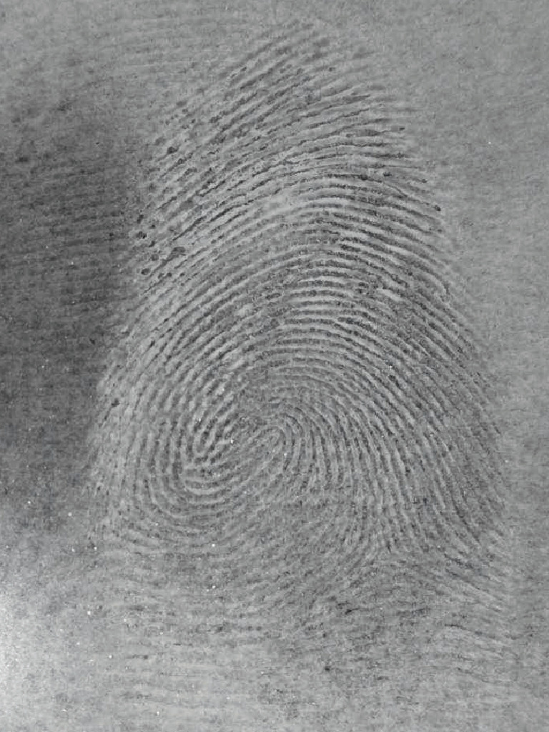 Fingerprint a4 | PDF