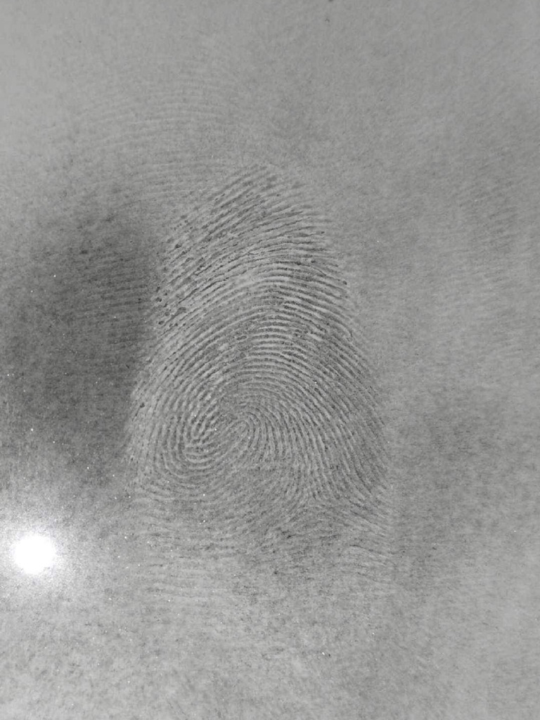 Fingerprint A4 | PDF