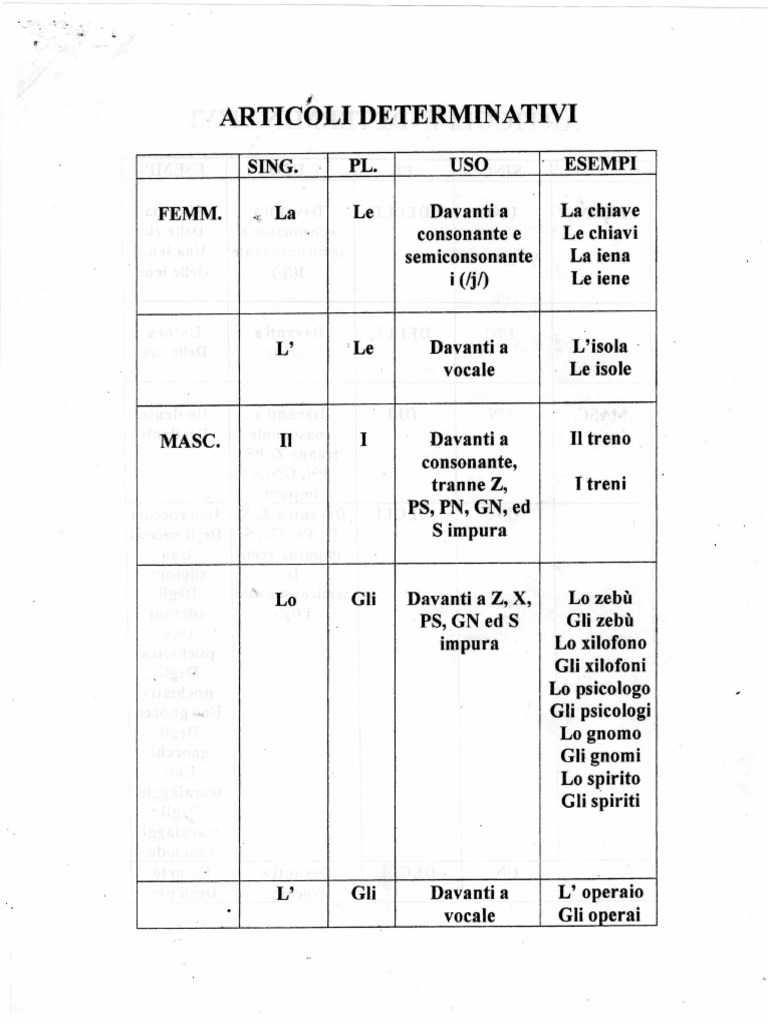 Articoli Determinativi e Indeterminativi | PDF