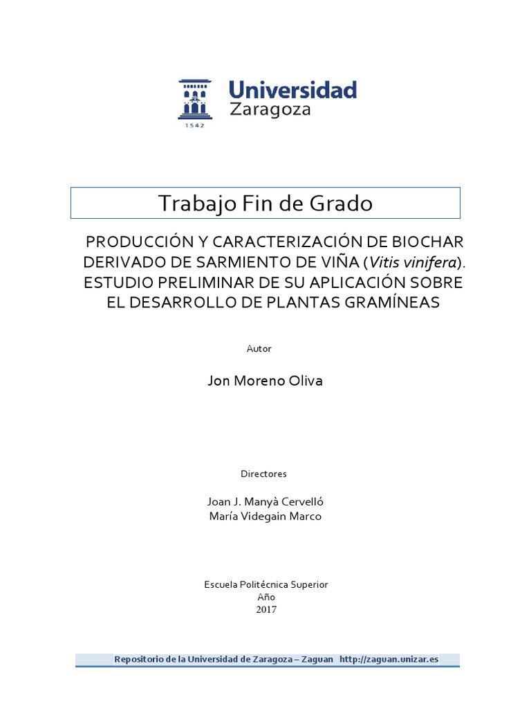 Biochar 2 | PDF