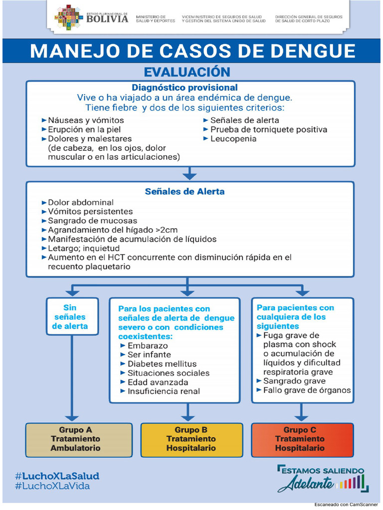Afiches Del Dengue | PDF