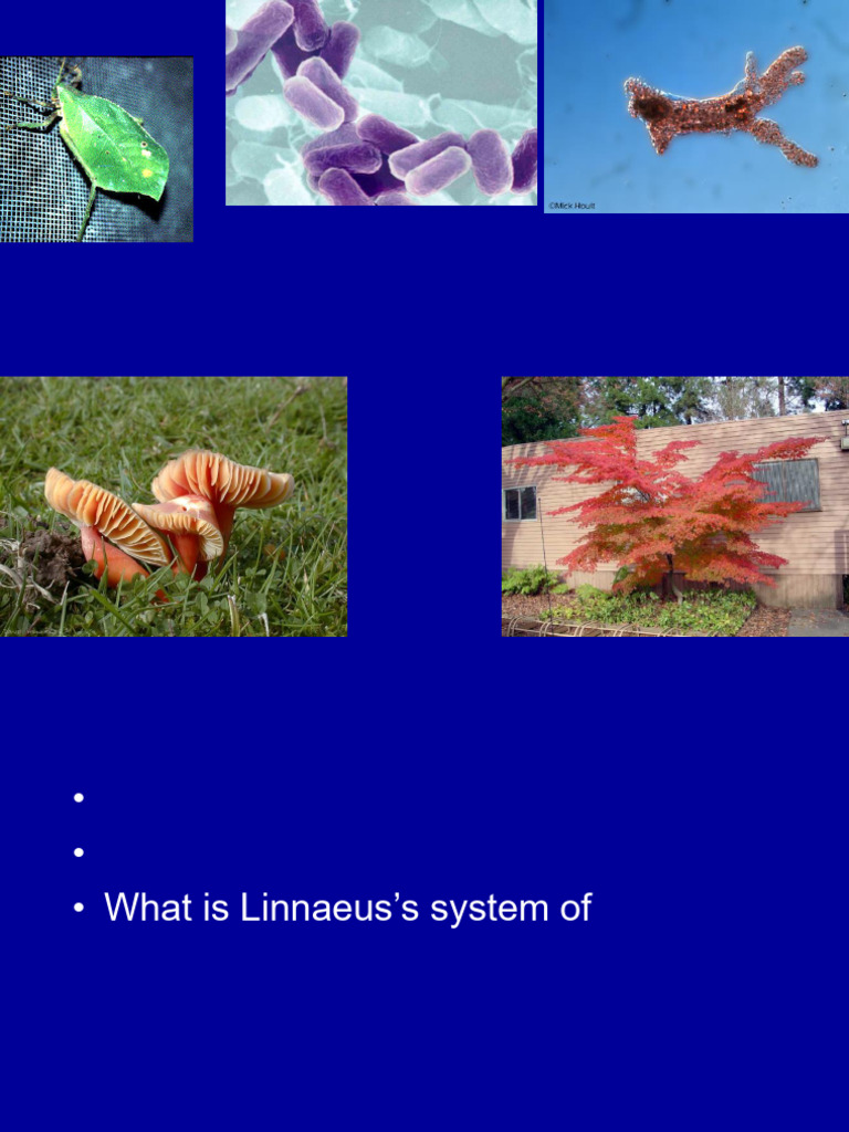 Chapter 18 Classification Pdf