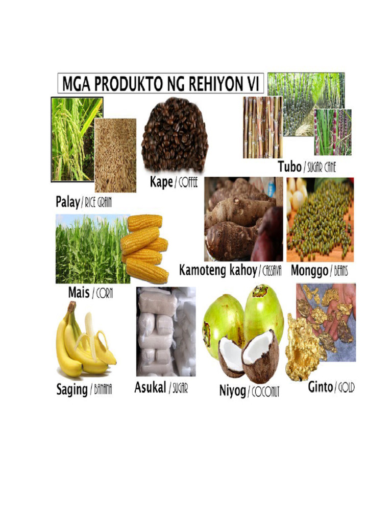 Produkto Rehiyon 6 | PDF
