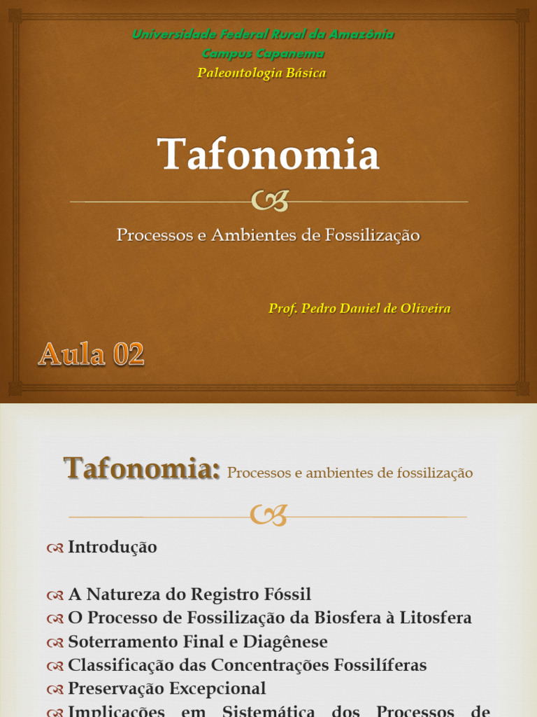 Aula 02 Tafonomia | PDF