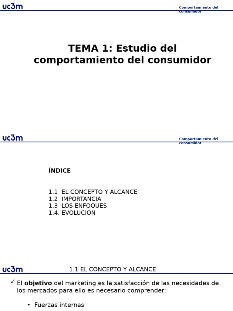 Tema 1 - Estudio Del Comportamiento Del Consumidor | PDF