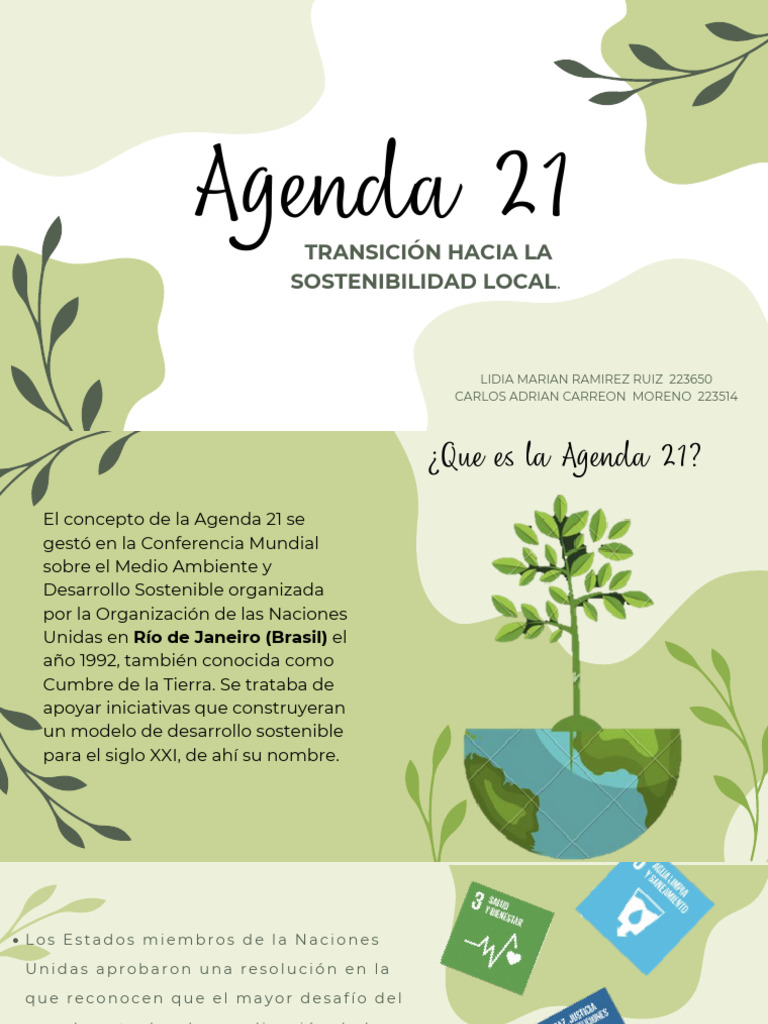 Agenda 21 | PDF