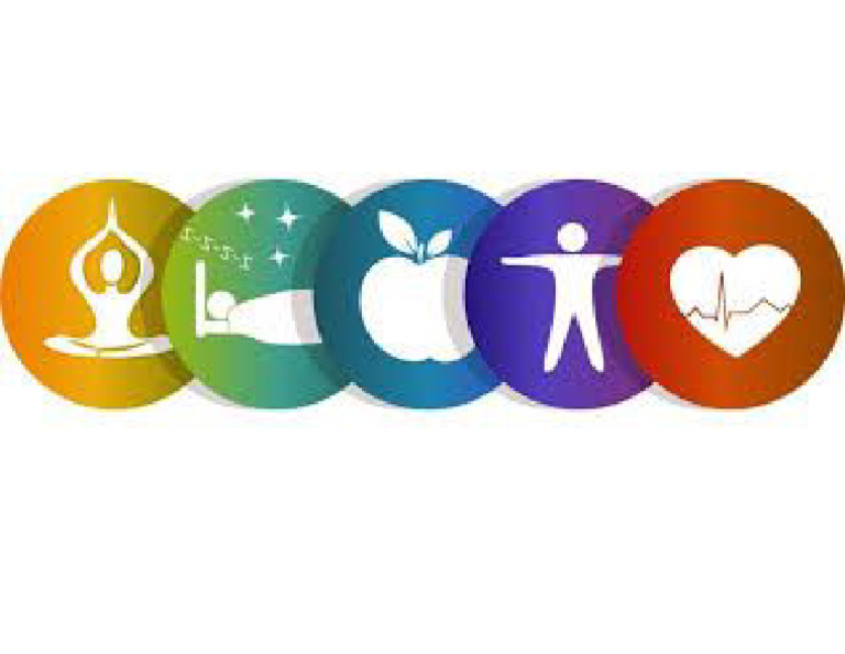 PDFReader_20240827_1845 | PDF