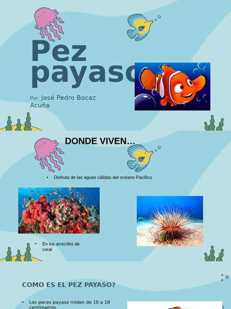 Disertacion Pez Payaso | PDF