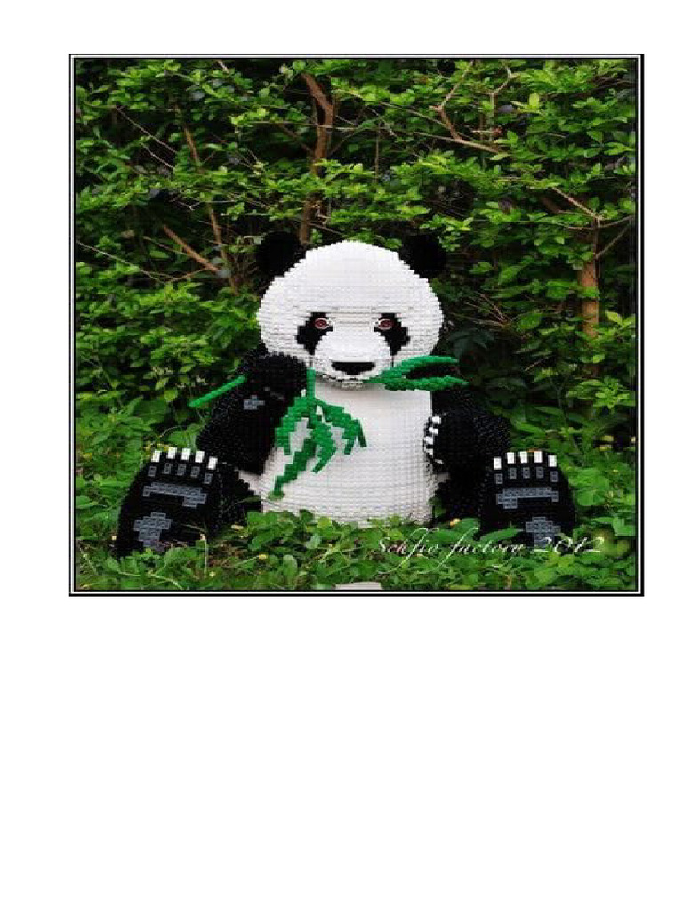Panda | PDF
