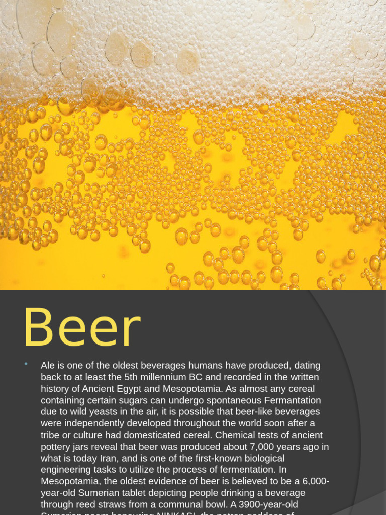 Beer | PDF