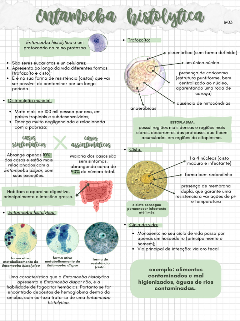 Entamoeba Histolytica | PDF