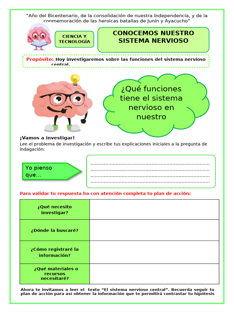 Ficha Mart Cyt Conocemos Nuestro Sistema Nervioso | PDF