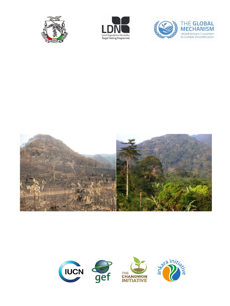 Guinea LDN TSP Country Report | PDF