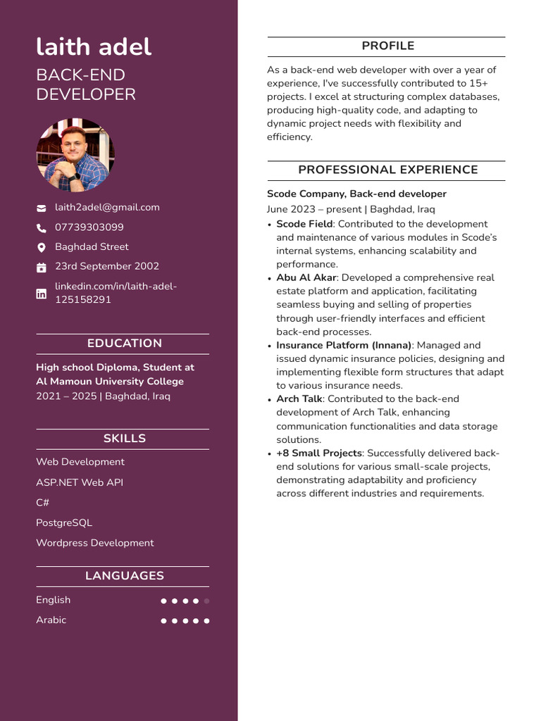 Laith Adel CV | PDF
