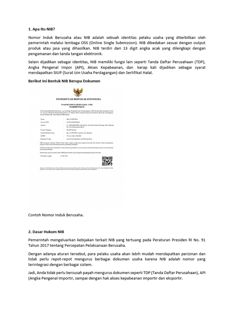 NIB (Nomor Izin Berusaha) | PDF