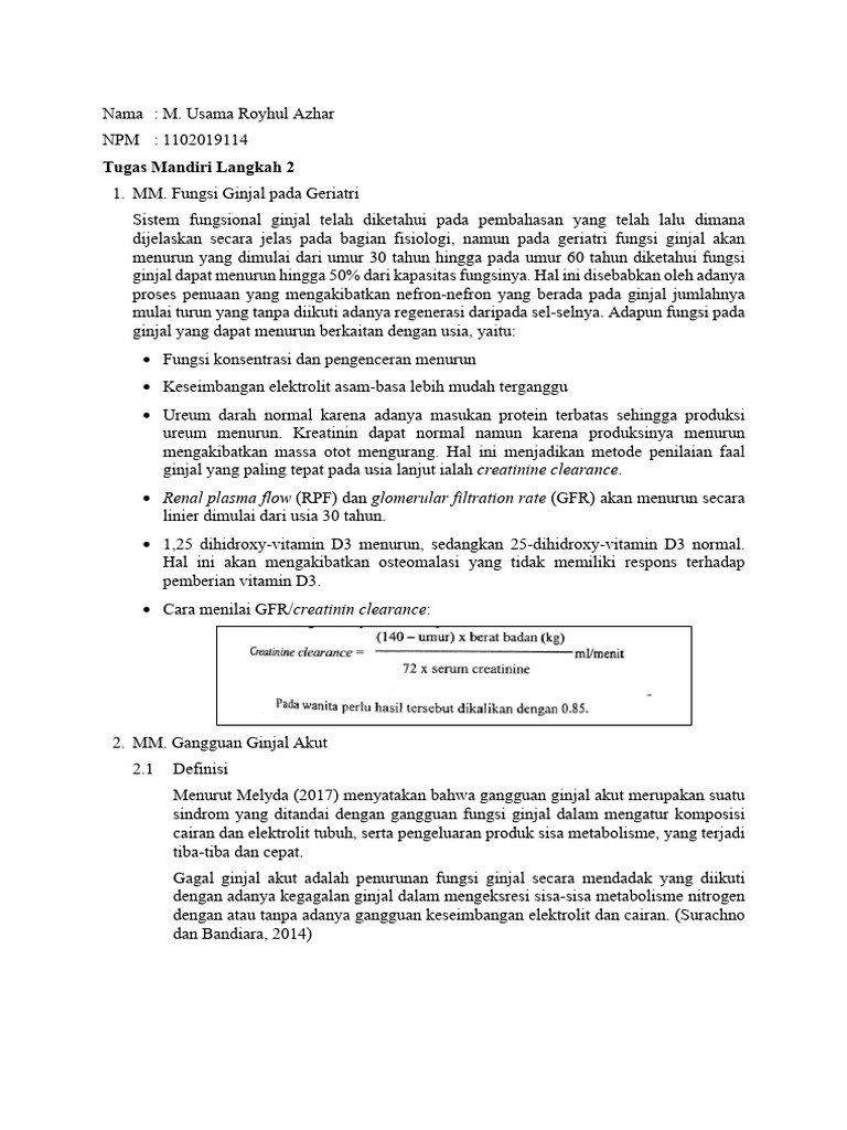 Tugas Mandiri Langkah 2 - 9114 - M. Usama Royhul Azhar | PDF ...