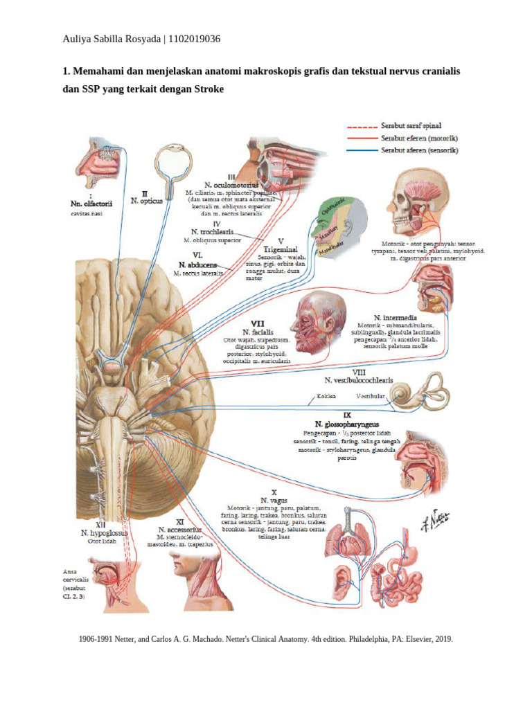TM SK2 SSP - 9036 - Auliya Sabilla Rosyada | PDF