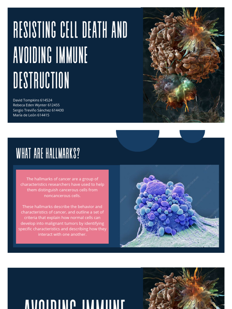 Presentación Biocel - Cancer | PDF