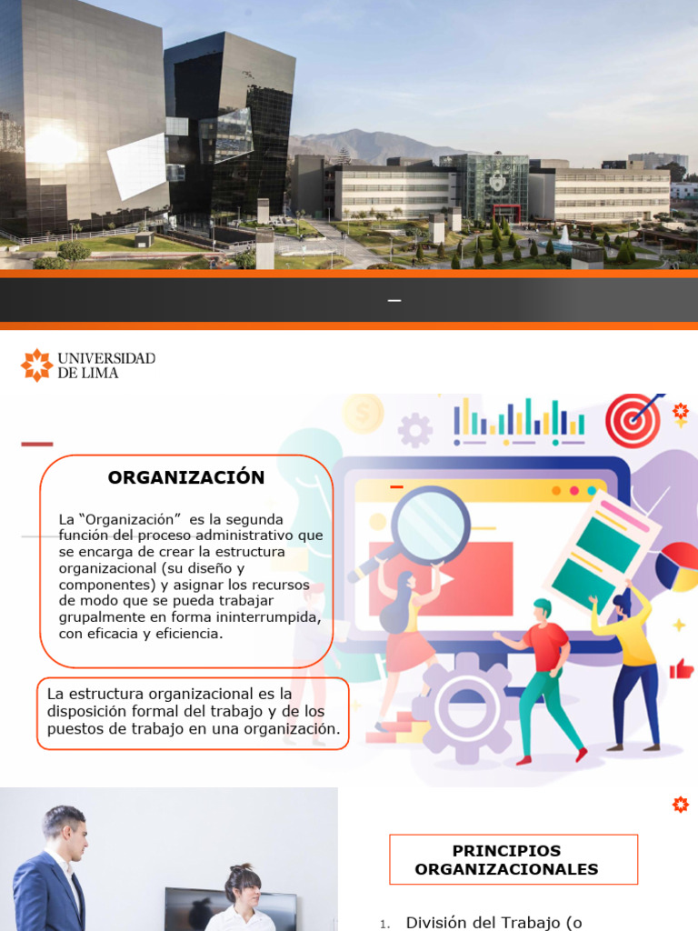 Principios Organizacionales | PDF