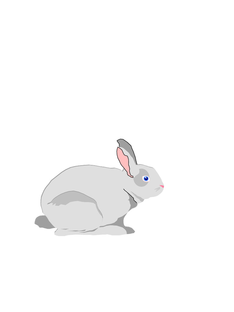 Rabbit Production Manual-1 | PDF