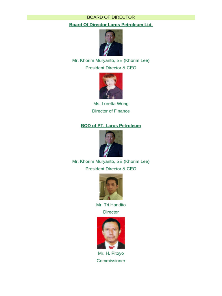 Board Of Director Pdf