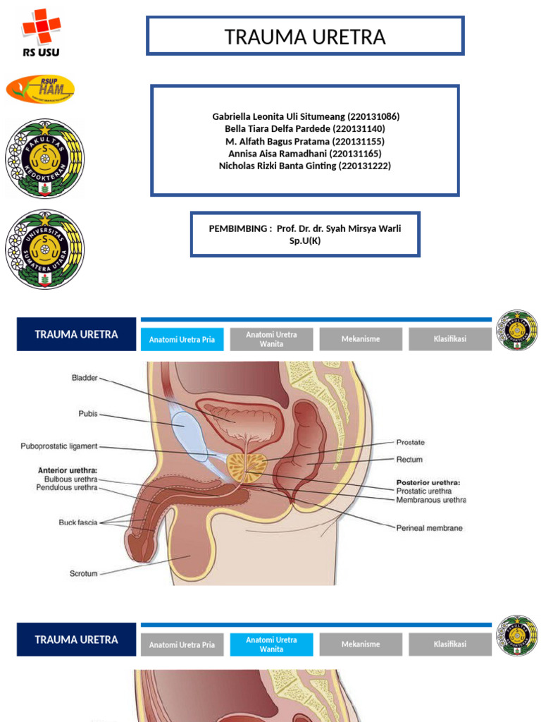 Trauma Uretra - R1 | PDF