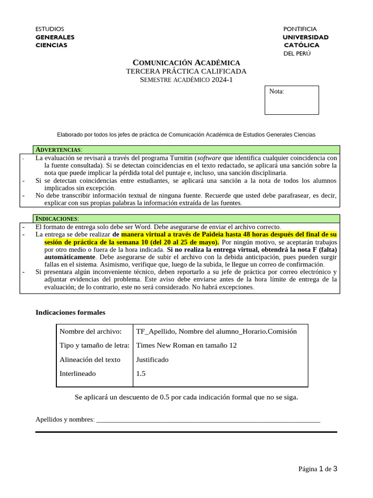 (2024.1) PC3 - Formato y Rúbrica | PDF