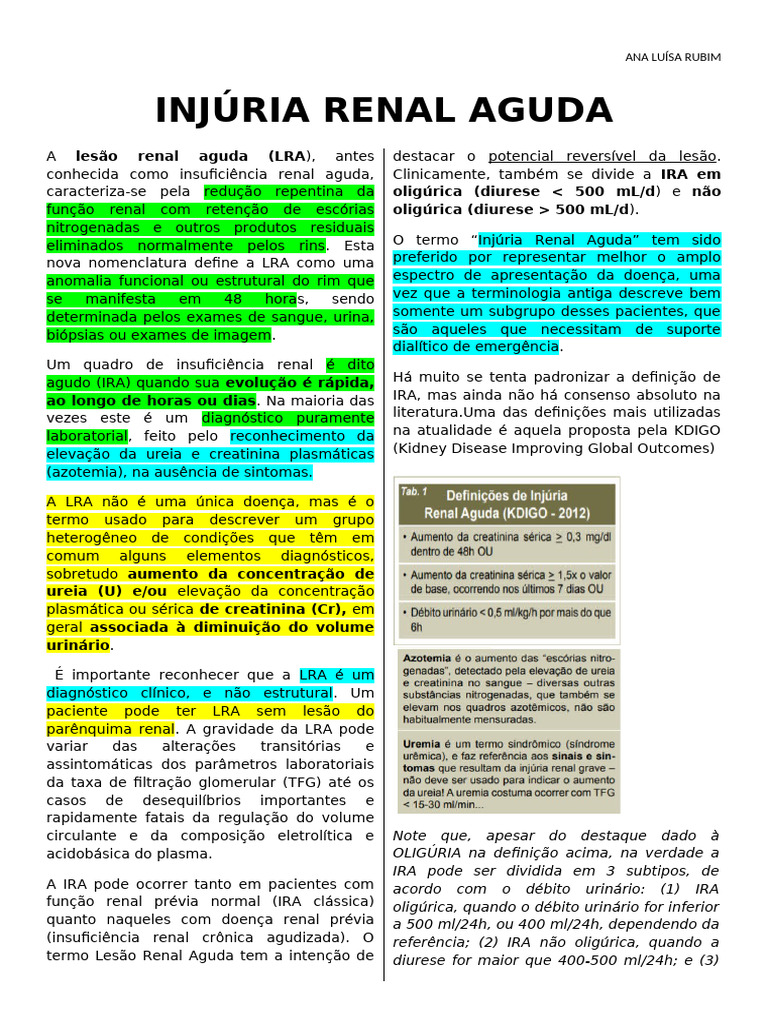 Injúria Renal Aguda | PDF