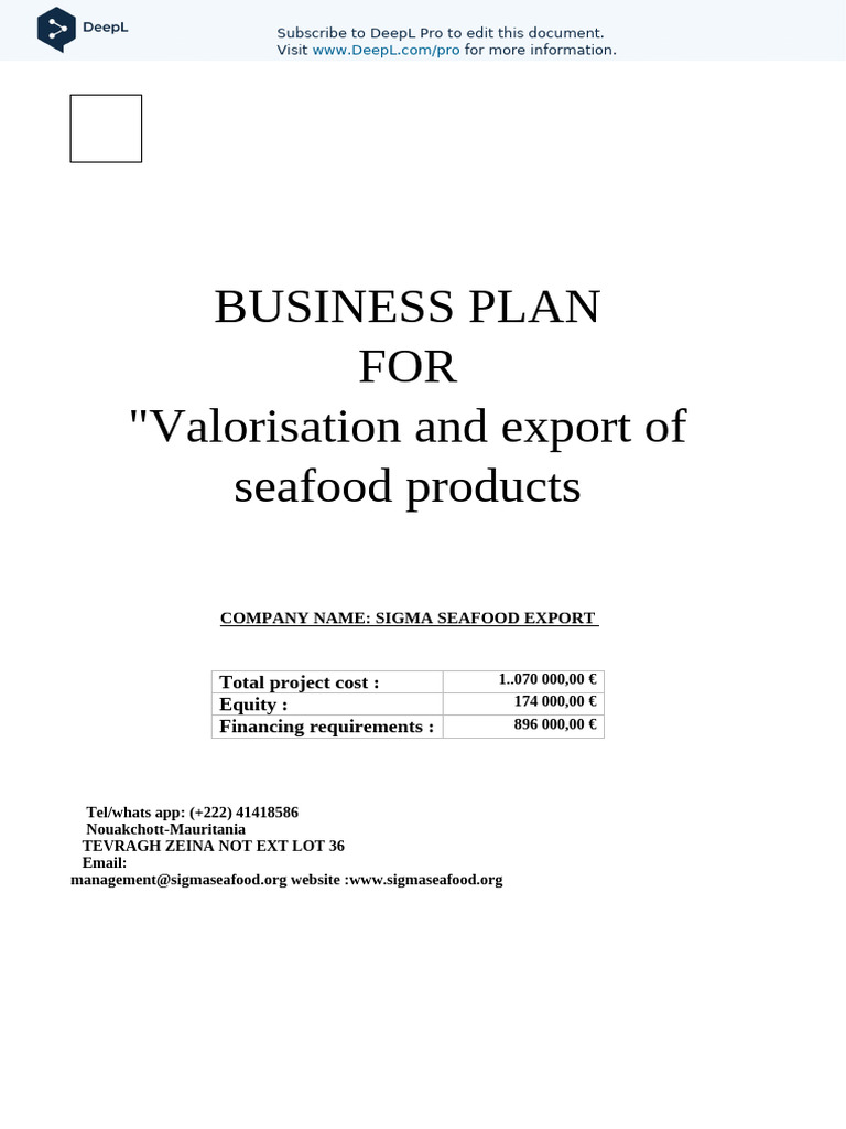 Business Plan Sigma en | PDF