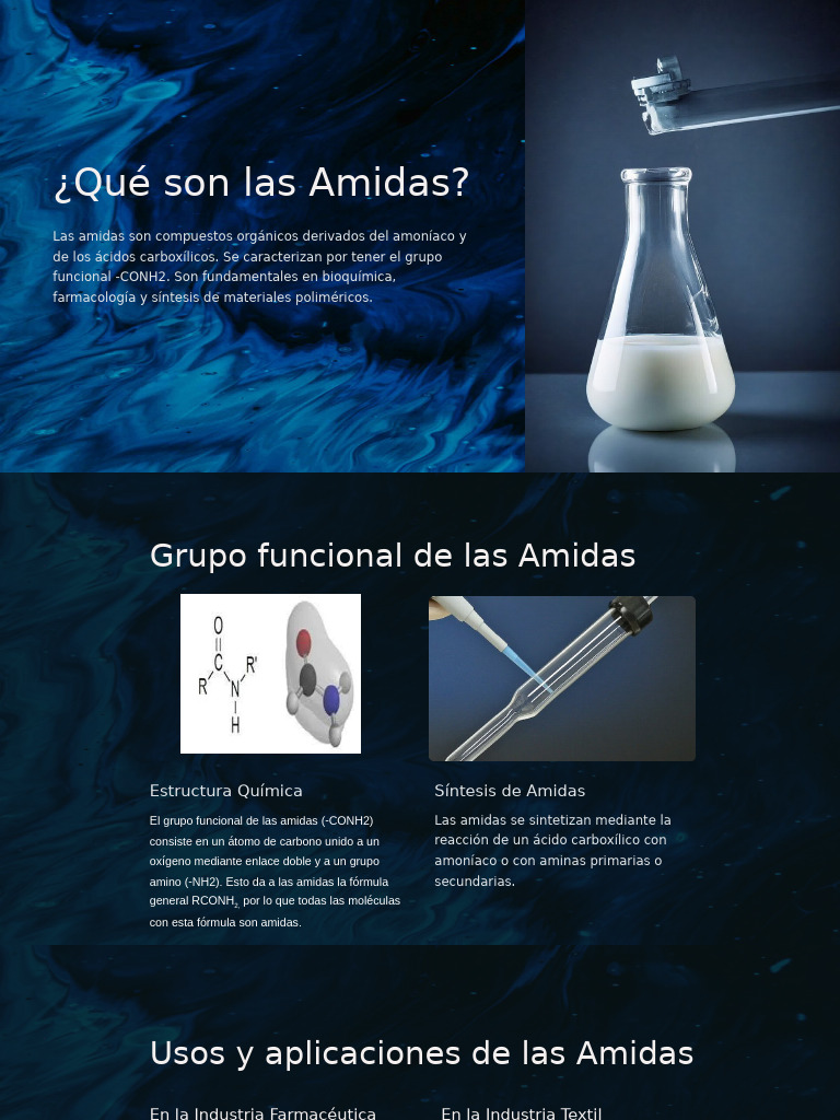 Que Son Las Amidas | PDF