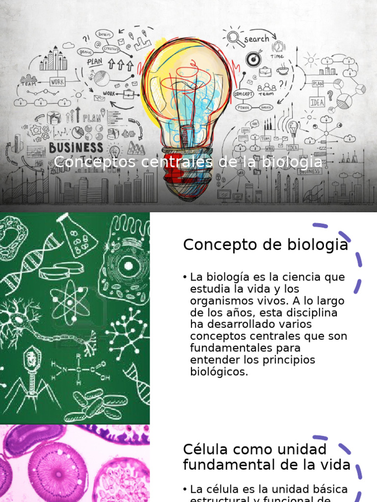 Conceptos Centrales de La Biologia | PDF | Autoajuda | Ciências e Matemática