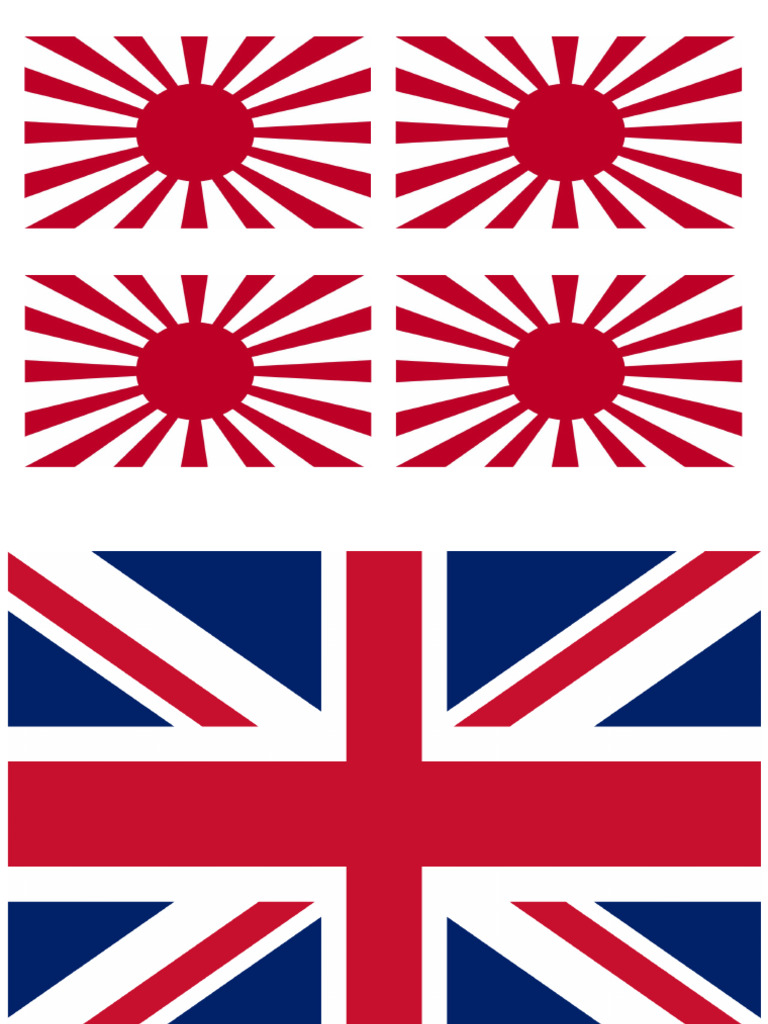 Flags | PDF