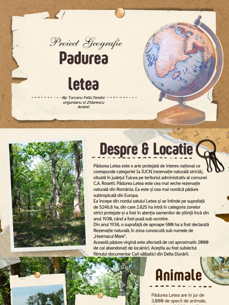 Padurea Letea Proiect Geo | PDF