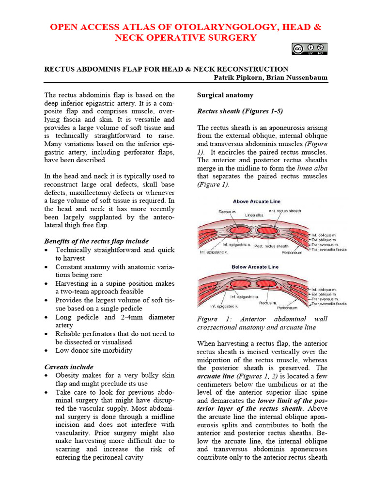 Rectus Abdominis Flap | PDF