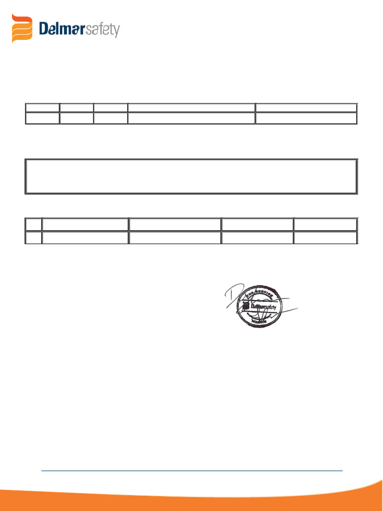 Portable Foam Applicator | PDF