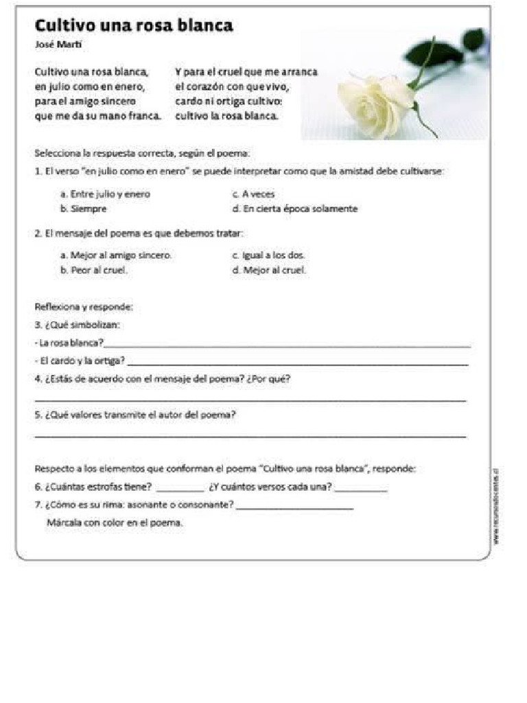 Cultivo Una Rosa Blanca | PDF