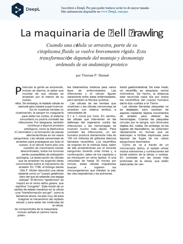 Stossel The Machinery of Cell Crawling Es-ES | PDF