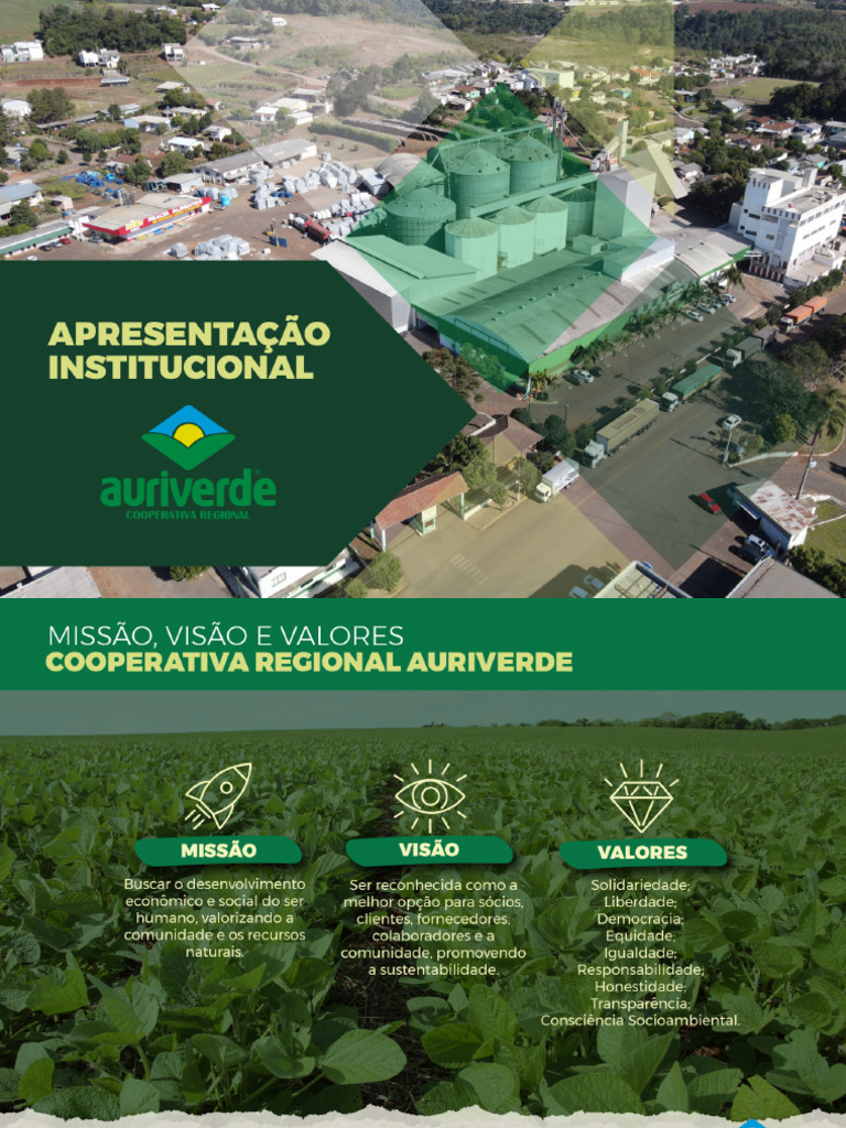 Apresentacao Institucional Auriverde | PDF