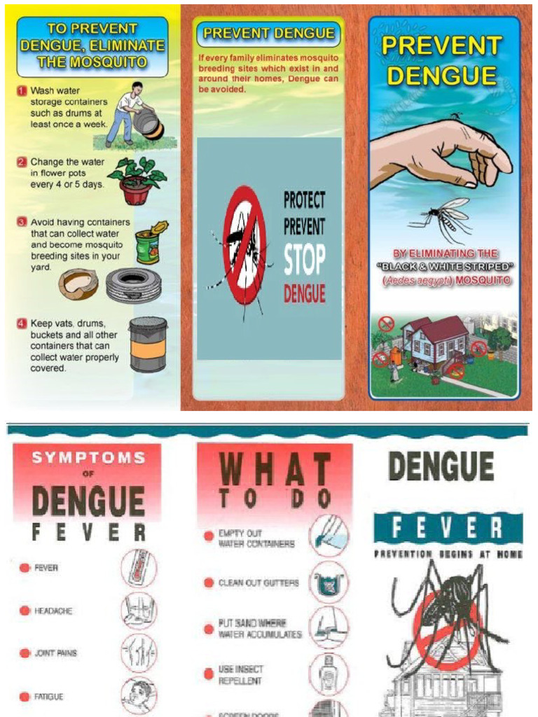 Dengue | PDF