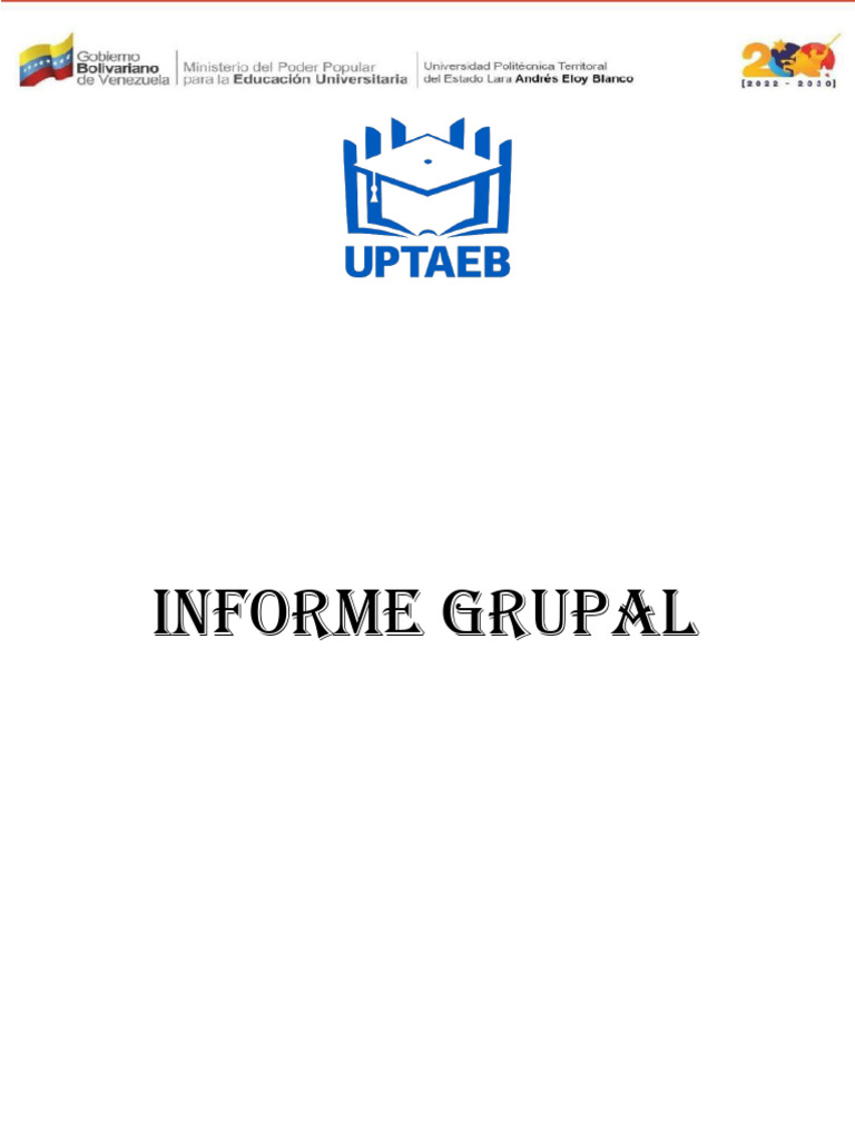 Informe Grupal (Unidad I) | PDF