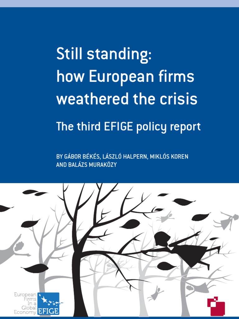 Blueprint 15 EFIGE | PDF